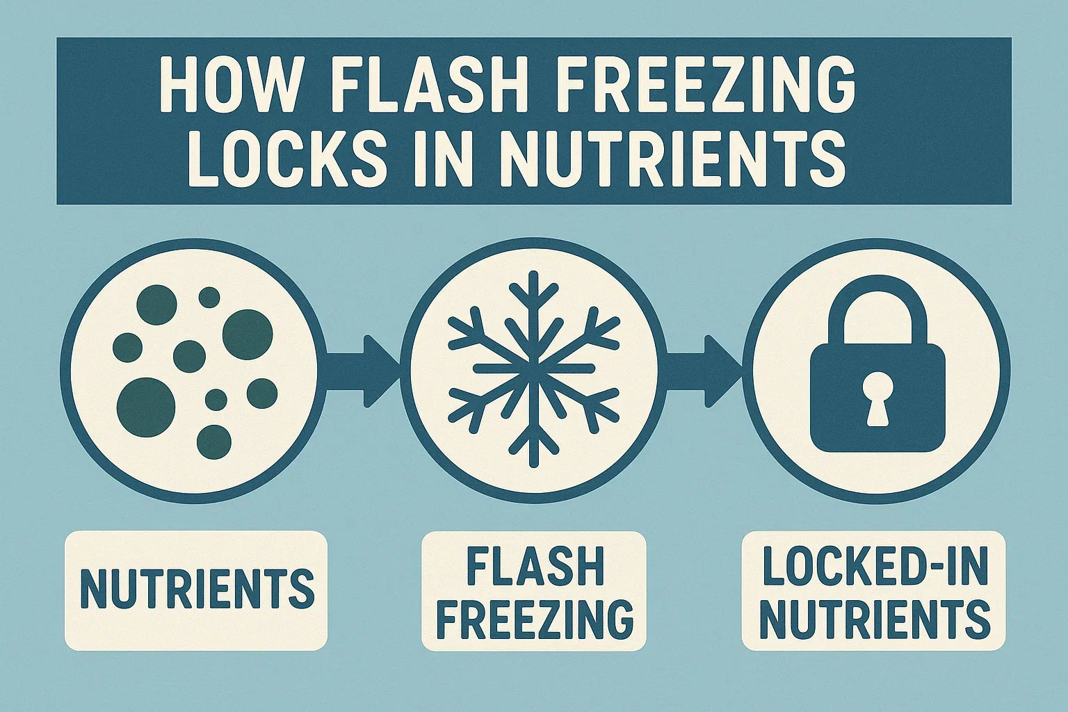 Unlocking the Power of Flash Freezing: How It Preserves Nutrients ...